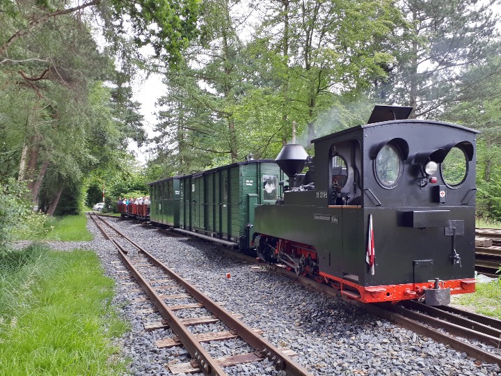 Dampf-Kleinbahn Mühlenstroth e.V.